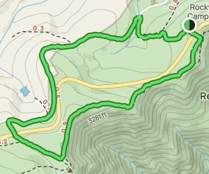 Black Ridge Trail: 450 Reviews, Map - Virginia | AllTrails