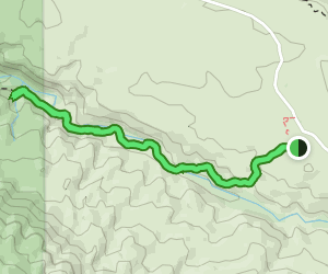 Tenaja Canyon via Tenaja Trail: 183 Reviews, Map - California | AllTrails