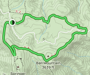 Benton MacKaye Springer Mountain Loop: 614 Reviews, Map - Georgia ...