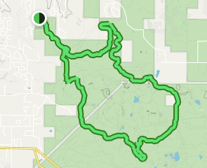Vasa 25k Loop, Michigan - 159 Reviews, Map | AllTrails