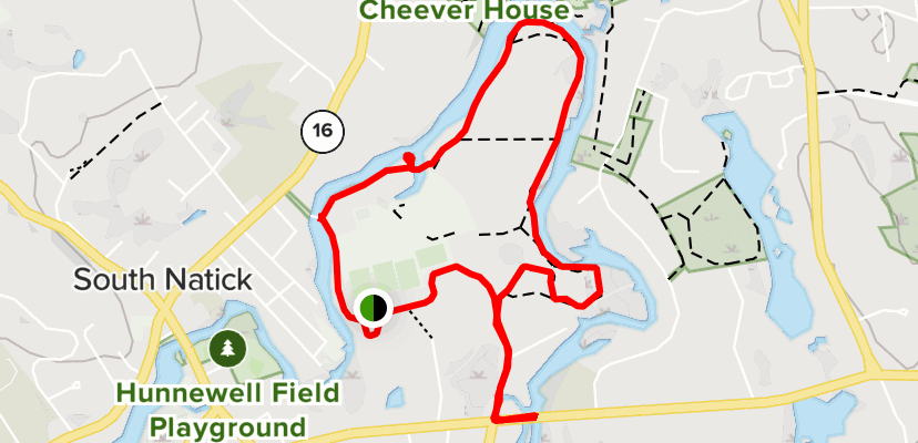 Are Dogs Allowed At Elm Bank