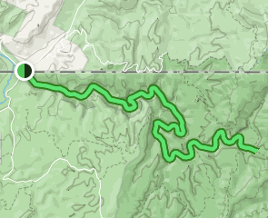 Jacks River Trail to Beech Bottom, Georgia - 189 Reviews, Map | AllTrails