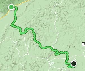 Pinhoti Trail: Burns Traihead to Coleman Lake: 46 Reviews, Map ...