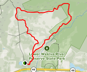 Lower Wekiva Loop via Florida Trail - Florida | AllTrails