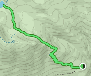 Merritt Lake Trail: 206 Reviews, Map - Washington | AllTrails