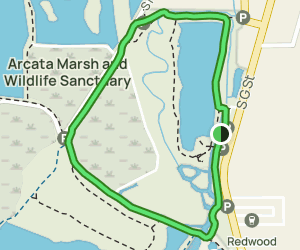 Allen Marsh and Butcher Slough Log Pond Loop: 91 fotos - Califórnia ...