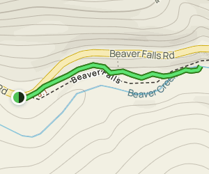 Beaver Falls Trail: 536 Reviews, Map - Oregon | AllTrails