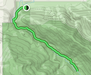 Boulder River Trail: 1581 Reviews, Map - Washington | AllTrails