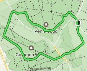 Penn Wood and Common Wood Circular, Buckinghamshire, England - 191 ...