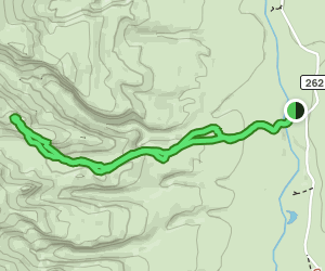 Procession Panel Trail: 185 Reviews, Map - Utah | AllTrails