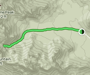 Pine Canyon Trail: 257 Reviews, Map - Texas | AllTrails