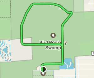 Crew Bird Rookery Swamp: 411 Reviews, Map - Florida | AllTrails