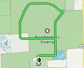 Crew Bird Rookery Swamp, Florida - 441 Reviews, Map | AllTrails
