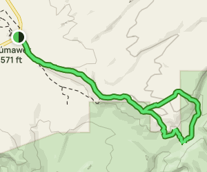 Pushawalla Palms Loop: 980 Reviews, Map - California | AllTrails