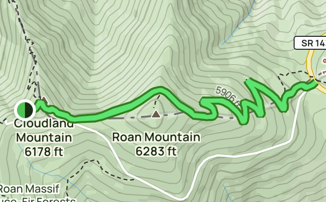Carvers Gap Roan Mountain