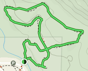 Steam Donkey Trail, Oregon - 77 Reviews, Map | AllTrails