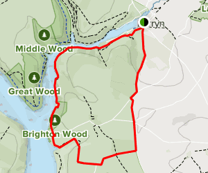 Lerryn Wood Circular Walk - Cornwall, England | AllTrails