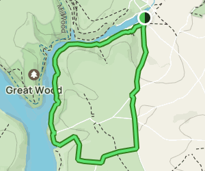 Lerryn Wood Circular Walk, 58 Fotos - Cornwall, England | AllTrails