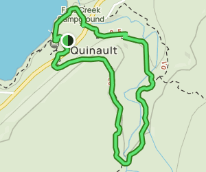 Falls Creek and Quinault Loop Trail: 311 Reviews, Map - Washington ...
