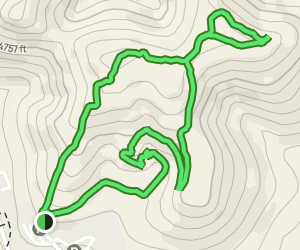 Hancock Hill: 540 Reviews, Map - Texas | AllTrails