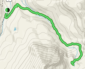 Blaine Basin, Colorado - 301 Reviews, Map | AllTrails