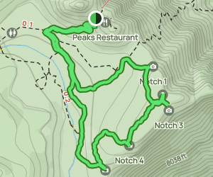 Desert View Trail: 1203 Reviews, Map - California | AllTrails