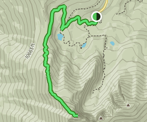 Wheeler Peak Trail via Alpine Lakes Trail: 267 Reviews, Map - Nevada ...