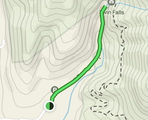 Twin Falls Lower Trail, South Carolina - 377 Reviews, Map | AllTrails