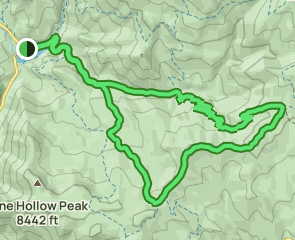 Mill Canyon Trail, Utah - 118 Reviews, Map | AllTrails