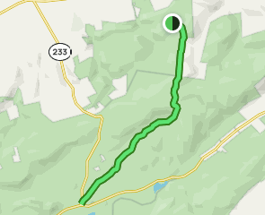 Buck Ridge Trail, Pennsylvania - 128 Reviews, Map | AllTrails