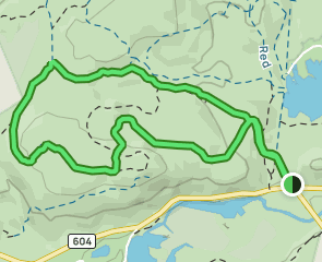 Allamuchy Trail Yellow Loop, New Jersey - 551 Reviews, Map | AllTrails
