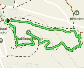 Hoot Owl Trail, Texas - 16 Reviews, Map | AllTrails