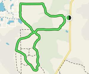 Boggy Creek Trail and Balm-Boyette Scrub Trail: 229 Reviews, Map ...