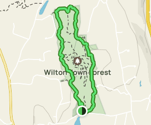 Wilton Town Forest Blue Trail: 440 Reviews, Map - Connecticut | AllTrails