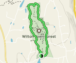 Wilton Town Forest Blue Trail: 451 Reviews, Map - Connecticut | AllTrails
