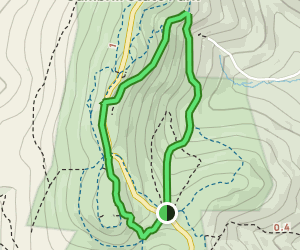 Green Ash Trail: 863 Reviews, Map - Maryland | AllTrails