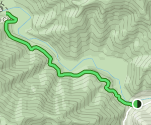 Manzana Trail To Potrero Camp: 27 Reviews, Map - California | AllTrails