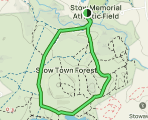 Stow Town Forest Blue Loop, Massachusetts - 464 Reviews, Map | AllTrails