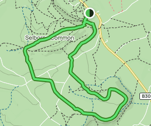 Selborne and Noar Hill: 366 Fotos - Hampshire, England | AllTrails