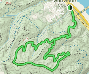 Ridge Trail to Wildwood Loop: 207 Reviews, Map - Oregon | AllTrails