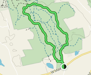 Cockaponset State Forest Road Loop Trail: 115 Reviews, Map ...