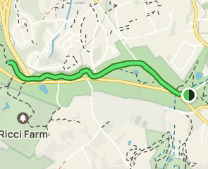 Battle Road Trail to William Smith House, Massachusetts - 669 Reviews ...