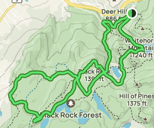 Black Rock Forest Trail: 382 Reviews, Map - New York | AllTrails