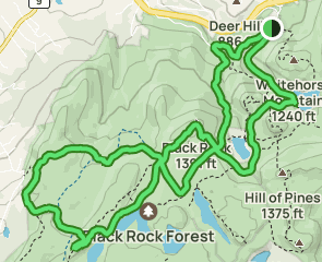 Black Rock Forest Trail, New York - 398 Reviews, Map | AllTrails