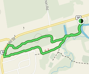 Rippon Tract & Pine River Recreational Trail: 108 Reviews, Map ...