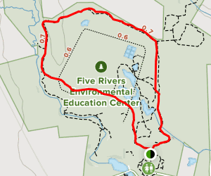 Five Rivers Environmental Education Center Loop Trail - New York ...