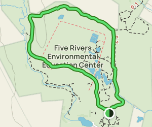 Five Rivers Environmental Education Center Loop Trail: 285 foto's - New ...