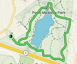 AllTrails | Ranger and Meadow Loop Trail: 115 Reviews, Map - Massachusetts