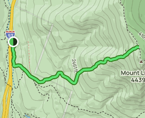 Liberty Springs Trail: 461 Reviews, Map - New Hampshire | AllTrails