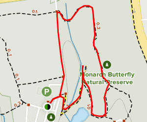 Monarch Butterfly Natural Preserve Loop | Map, Guide - California ...